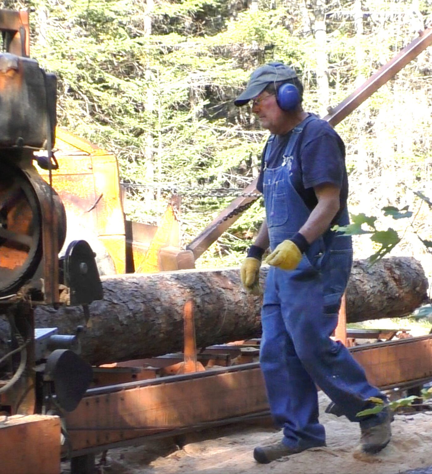 Learn About the Maine Rockweed Coalition