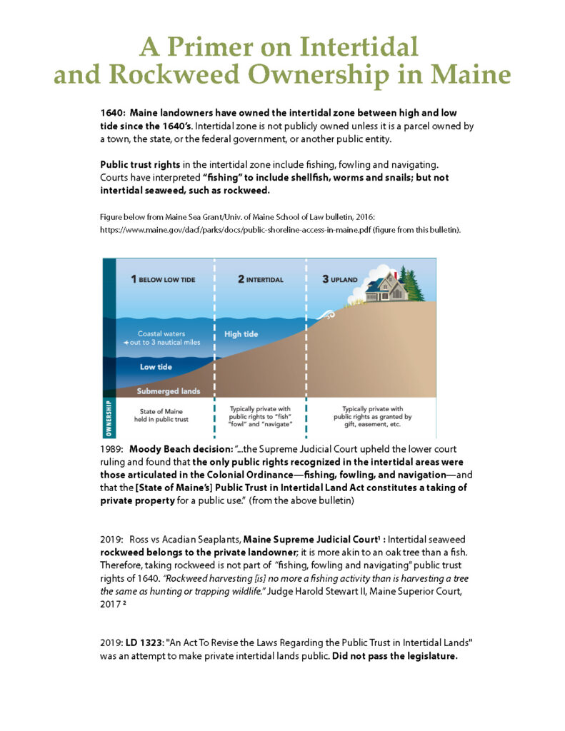About Rockweed